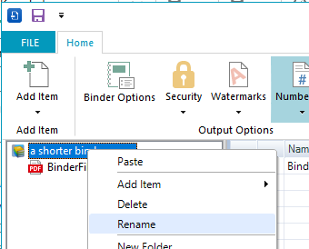 Fix “Binder exceeds file system path length” Error in pdfDocs